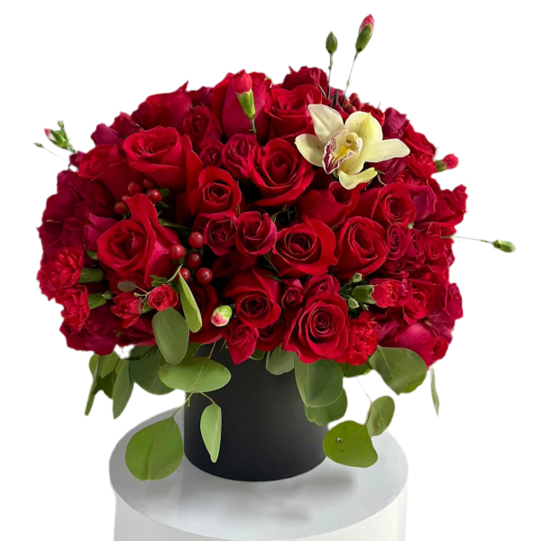 Doral Roses Miami, Flowers Delivery, Floral Arrangements